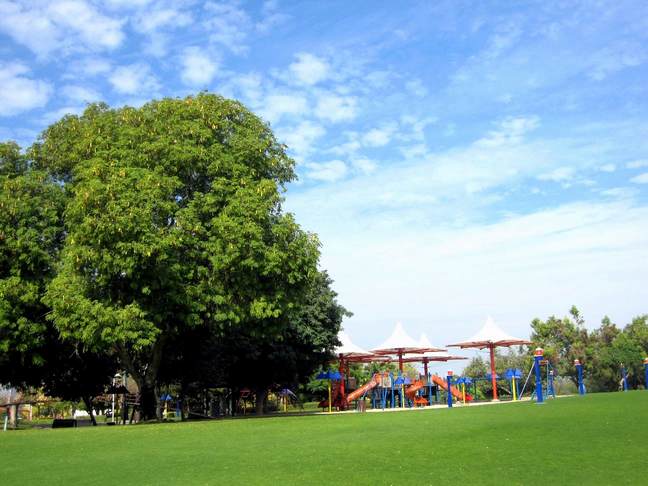 أفضل 7 انشطة في حديقة الخور دبي الامارات